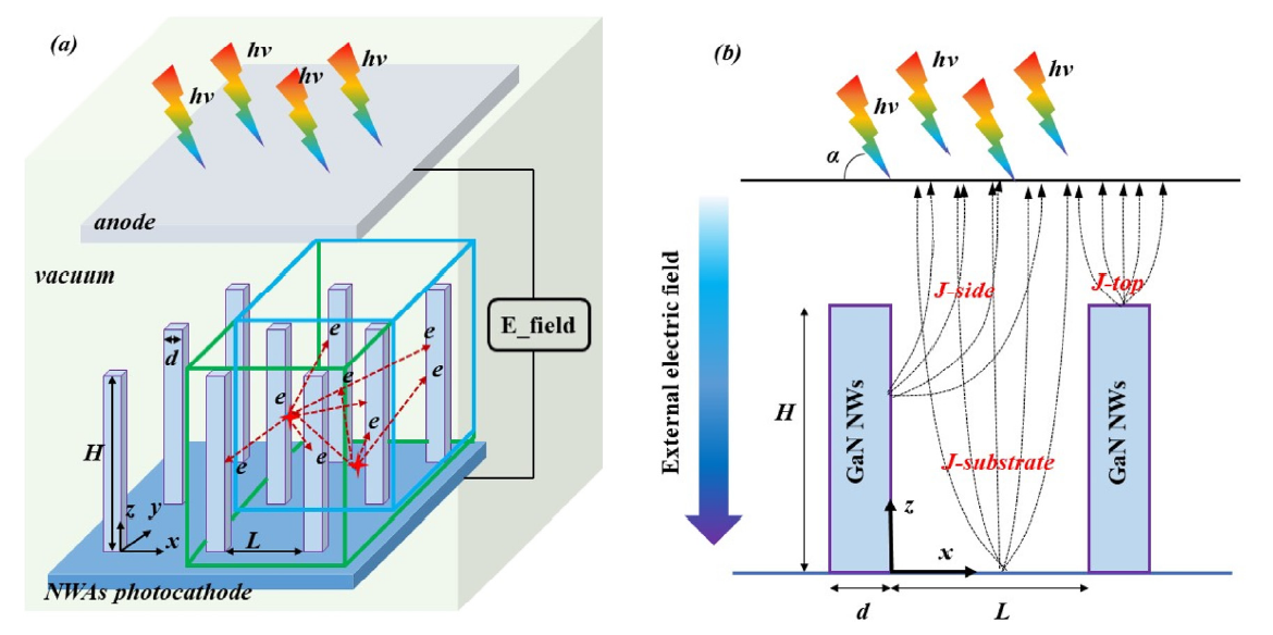Improved electron capture capability of field-assisted exponential ...
