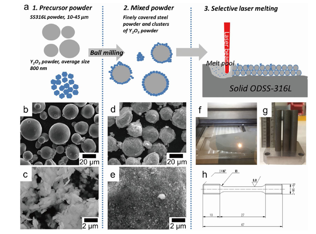Oxide dispersion strengthened stainless steel 316L with superior ...