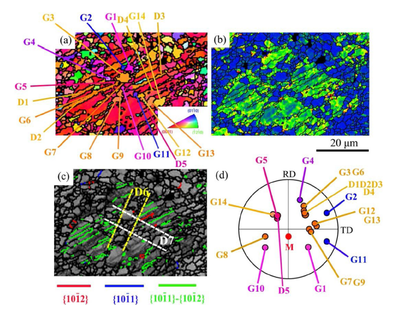 Unveiling annealing texture formation and static recrystallization ...