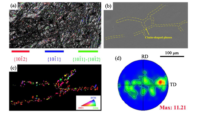 Unveiling annealing texture formation and static recrystallization ...