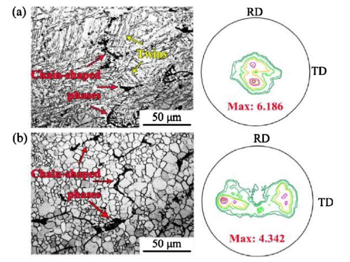 Unveiling annealing texture formation and static recrystallization ...