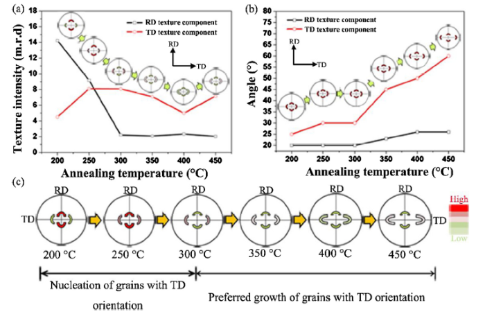 Unveiling annealing texture formation and static recrystallization ...