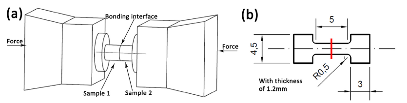Dynamic recrystallization behavior and interfacial bonding mechanism of ...