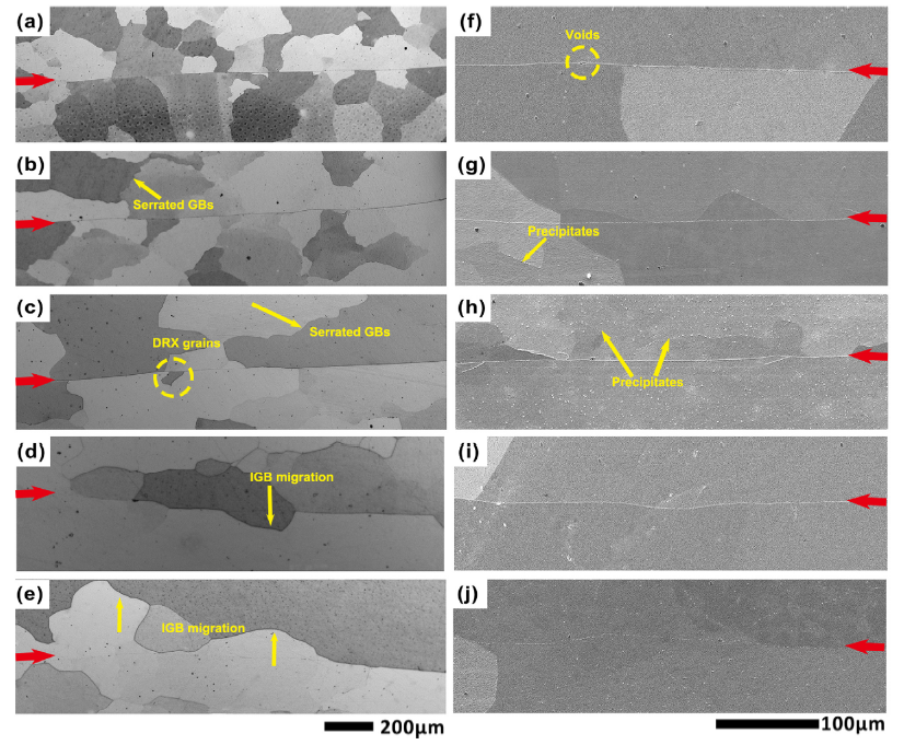 Dynamic recrystallization behavior and interfacial bonding mechanism of ...