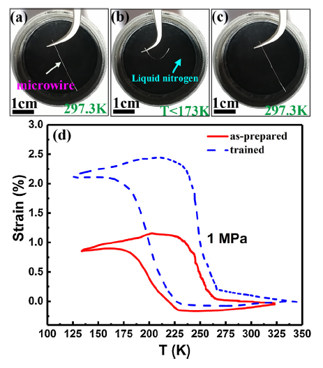 Intrinsic two-way shape memory effect in a Ni-Mn-Sn metamagnetic shape ...