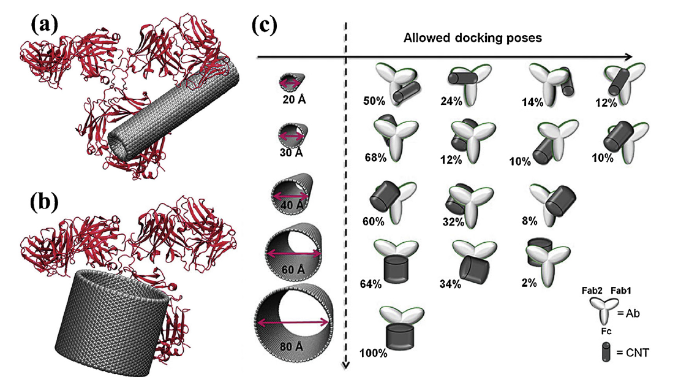 Design, preparation and measurement of protein/CNTs hybrids: A concise ...