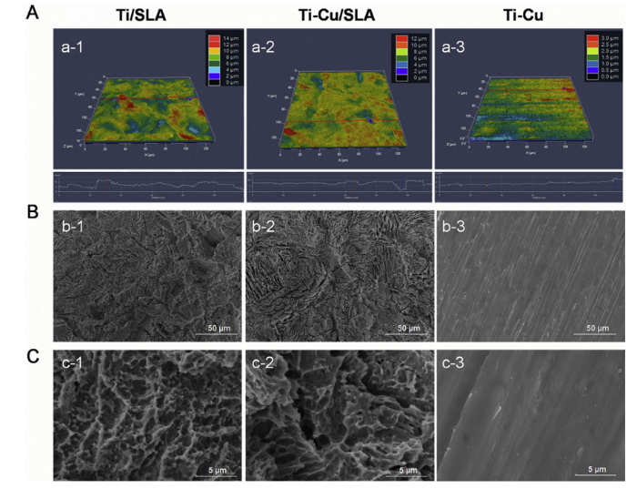 Effects of combined chemical design (Cu addition) and topographical ...