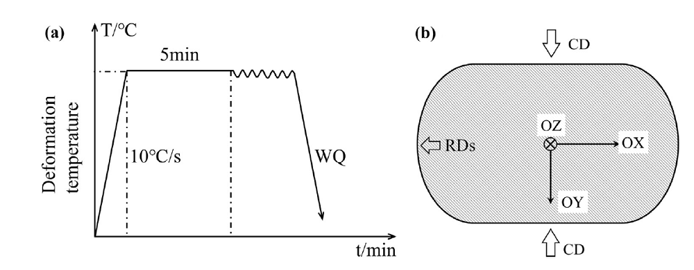 Fig. 2. (a) The heating and deformation schedule for thermal ...