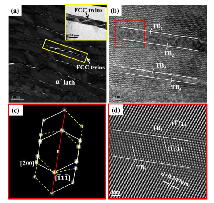Microstructural evolution and FCC twinning behavior during hot ...