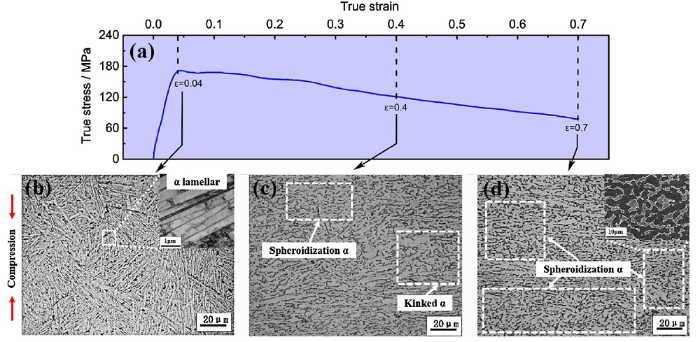 Microstructural evolution and FCC twinning behavior during hot ...