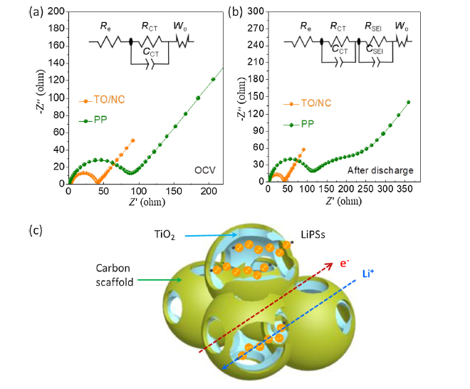 A bipolar modified separator using TiO2 nanosheets anchored on N-doped ...