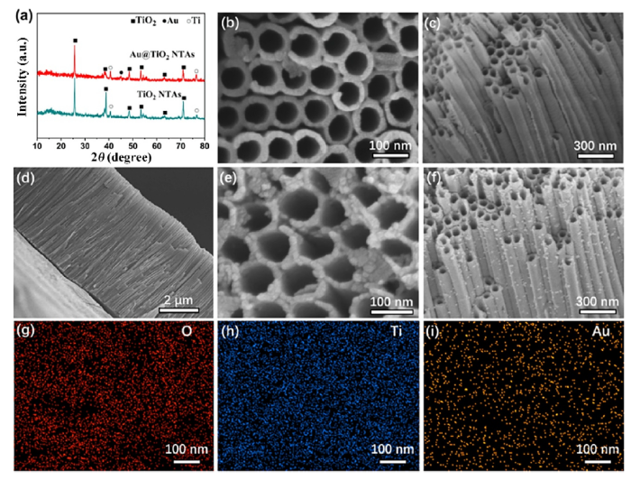 Three-dimensional flexible Au nanoparticles-decorated TiO2 nanotube arrays for ...