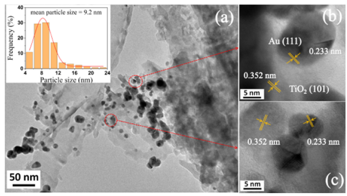 Three-dimensional flexible Au nanoparticles-decorated TiO2 nanotube arrays for ...
