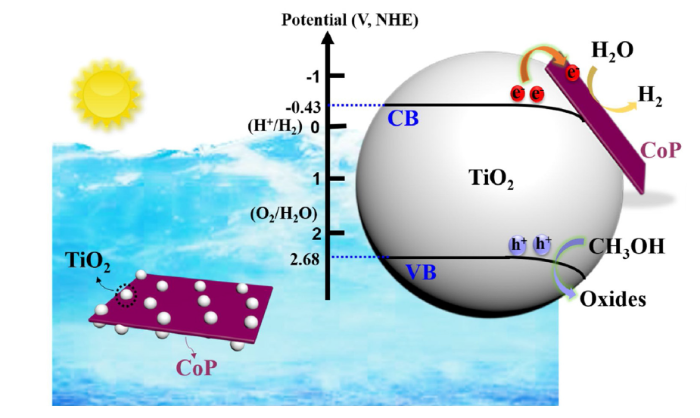 Construction 0D TiO2 nanoparticles/2D CoP nanosheets heterojunctions ...