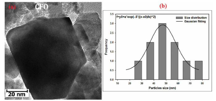 Theory, simulation and experiment of optical properties of cobalt ...