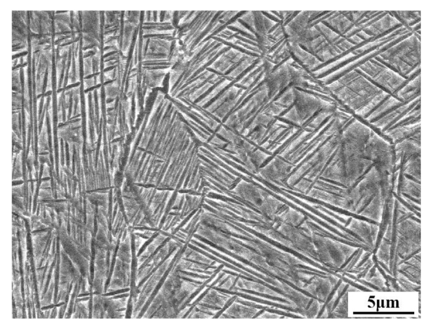Analysis of crystallographic orientation and morphology of ...