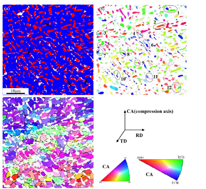 Analysis of crystallographic orientation and morphology of ...