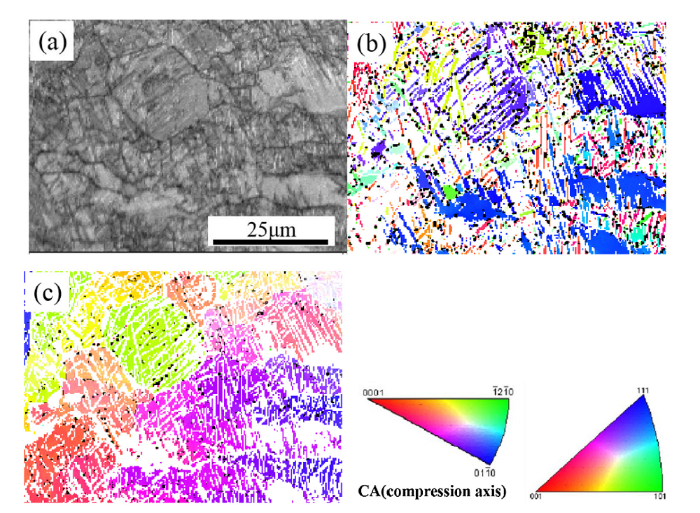Analysis of crystallographic orientation and morphology of ...