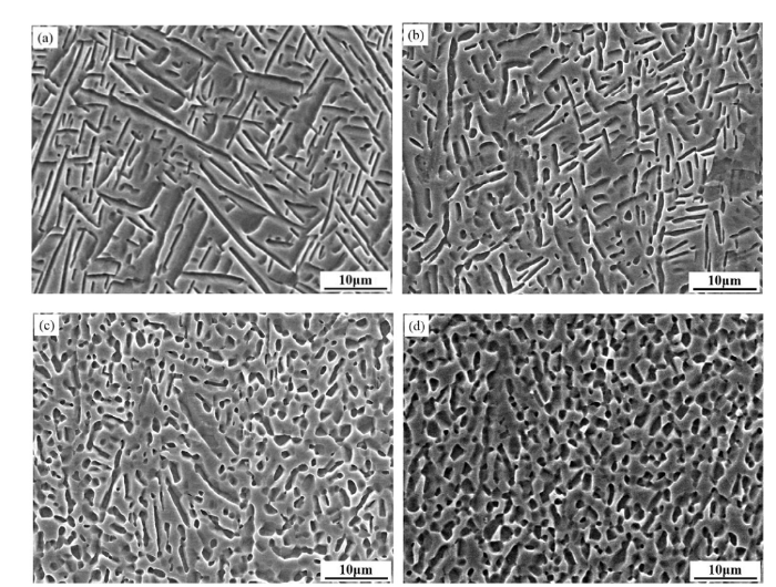 Analysis of crystallographic orientation and morphology of ...