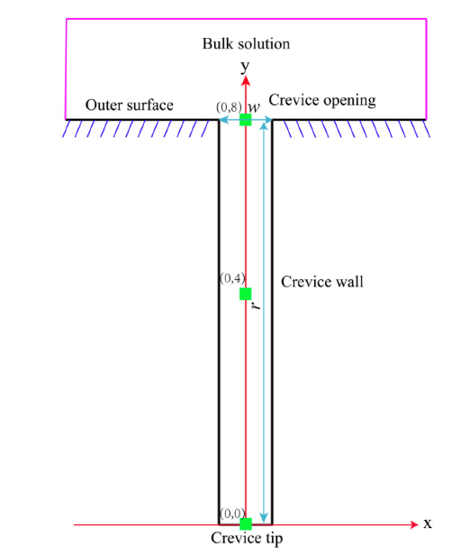 A multiphysics model for studying transient crevice corrosion of ...