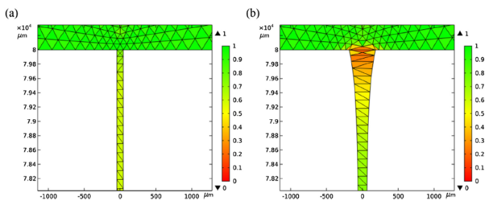A multiphysics model for studying transient crevice corrosion of ...