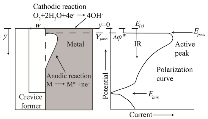 A multiphysics model for studying transient crevice corrosion of ...